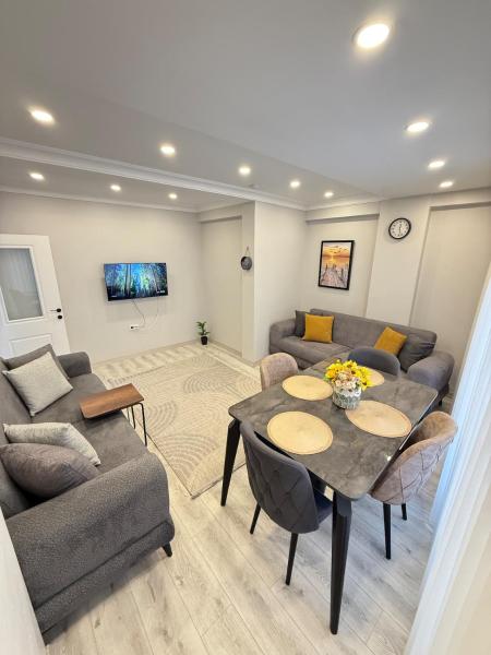 Modern Home In Istanbul - Zeytinburnu