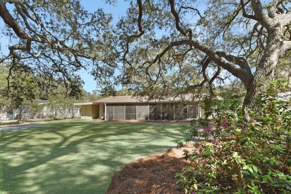 Beach Buzz - Jekyll Island, GA