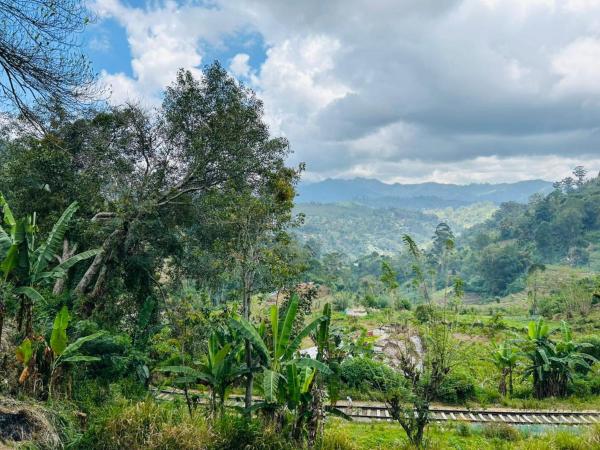 Stay Rail Ella - Sri Lanka