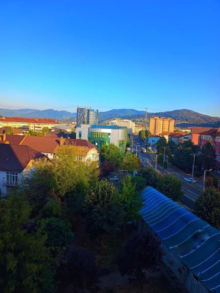 Studio Miruna - Piatra Neamț