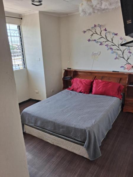 Habitación Amplia En Zona Universitaria - San José