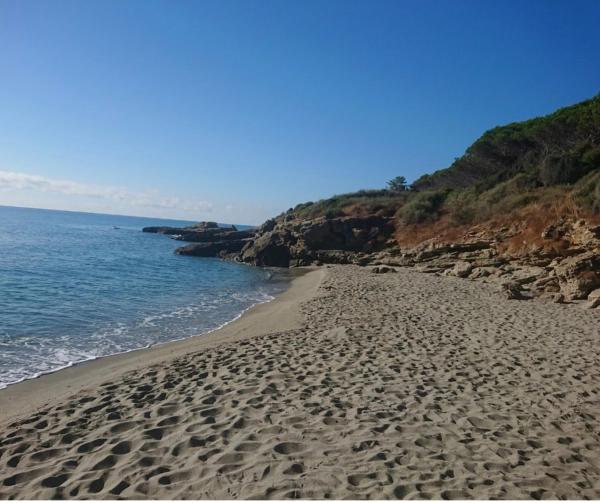 T2 Paradisiaque En Bord De Mer Et Piscine - Haute-Corse