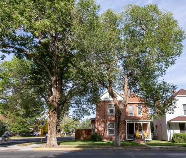 Pet Friendly-parkside- Downtown Salida - Salida, CO