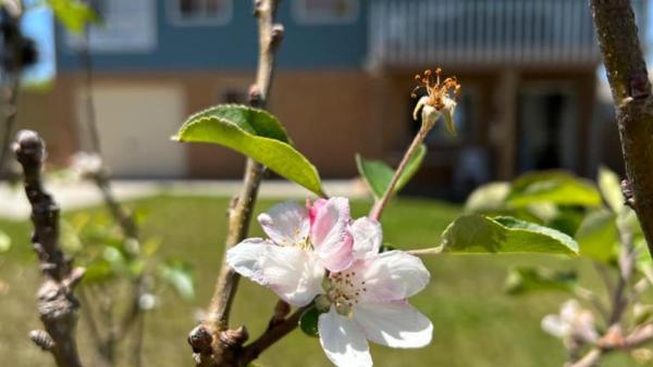 Sanctuary 79 - Family Home Located In Sanctuary Point - Hyams Beach