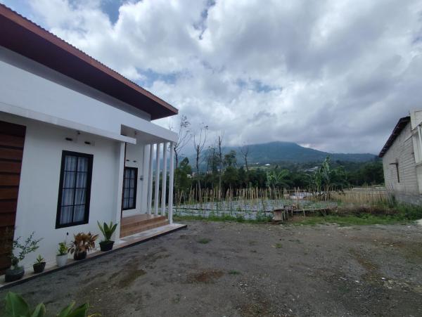 Griya Alborz Dieng - Wonosobo