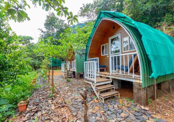 Wild One Tillari By Evaddo - Goa