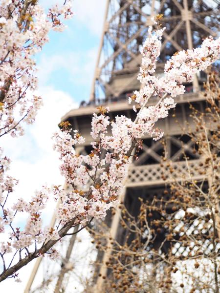 Hotel Louis Ii - Paris