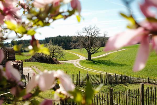 Landliebe - Rosenheim