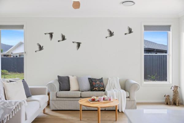 Zanda - Birdwatchers Paradise - Lake Cathie