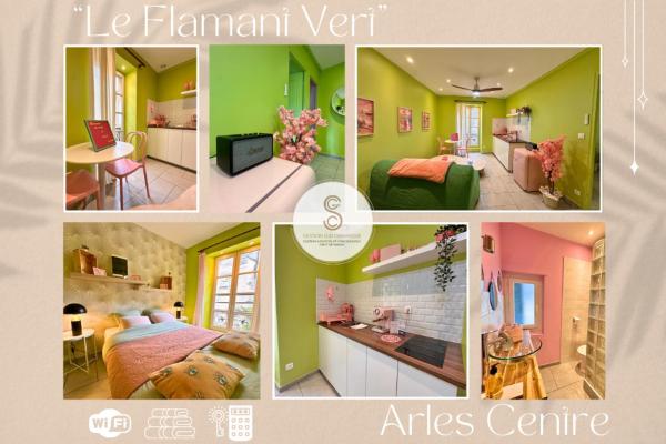 Arles Getaway - Le Flamant Vert - Arles