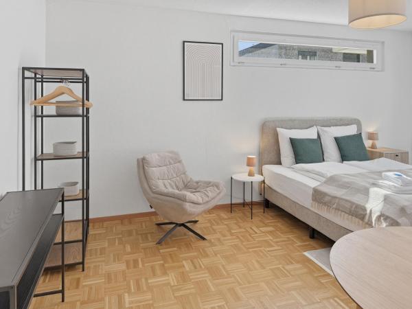 Amazing Studio In The City Centre - Art 17 - Winterthur