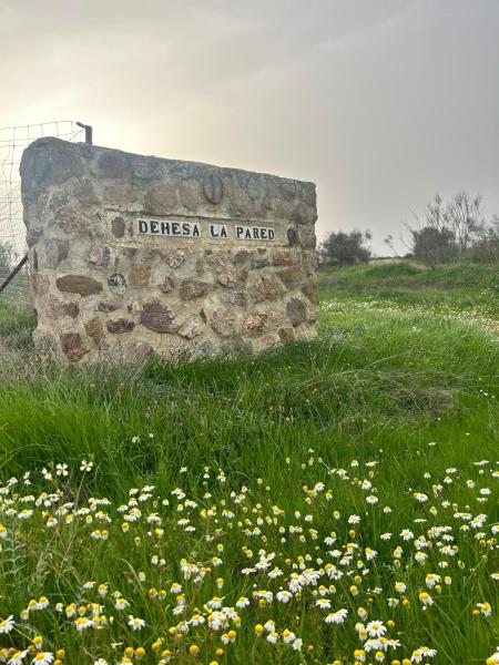 La Casita Agroturismo Dehesa La Pared - Almadén
