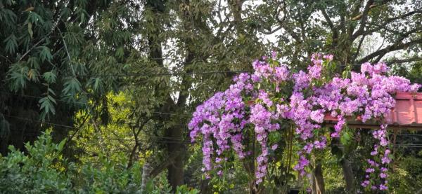 Aashiyana Residency Home Stay - Guwahati