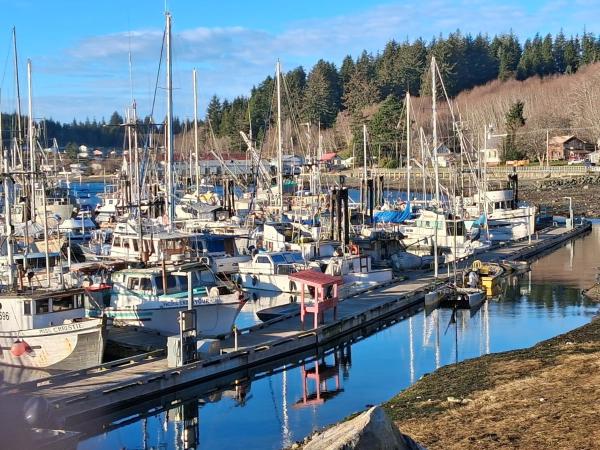 The Orca Inn - Port McNeill