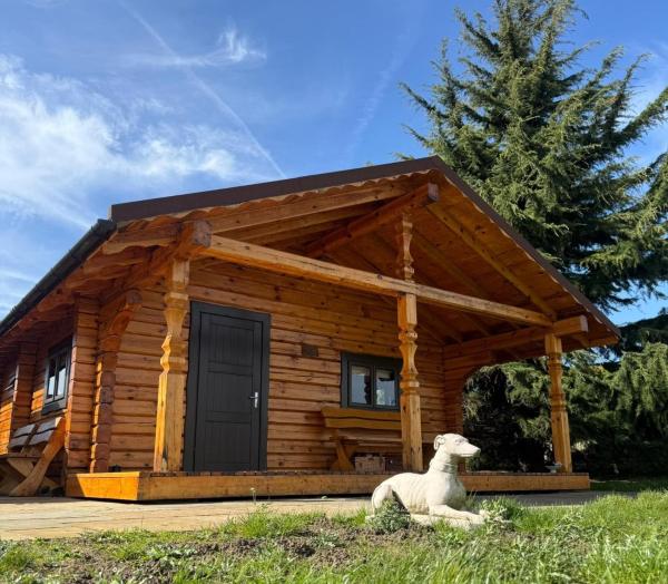 Log Cabin With Private Sauna And Bbq Area In Canterbury - Kent