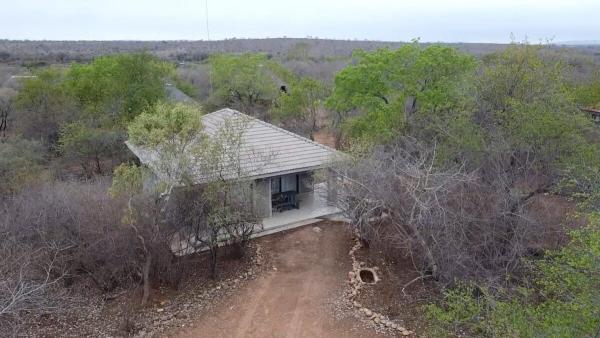 4230impala Marloth Park - Marloth Park