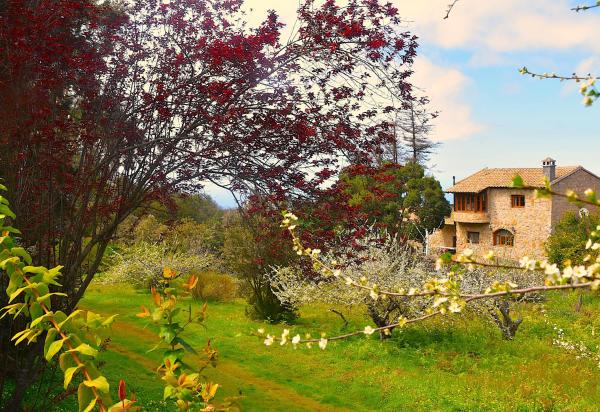 Casa Rural La Gustoza - Teneriffa