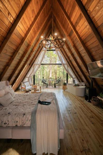 Lohma Nature - Canela