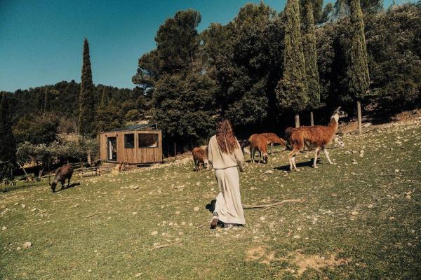 Barroux - Parcel Tiny House - Tiny House Au Pied Du Mont Ventoux Entourée Par Les Lamas Mae-5223 - Crillon-le-Brave