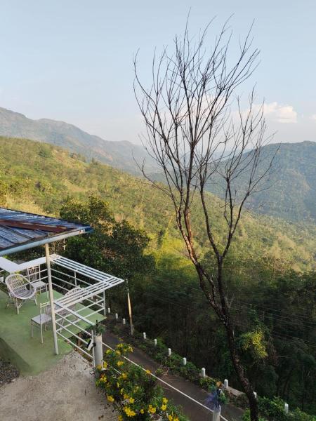 Misty Moutain View - Kuttikkanam