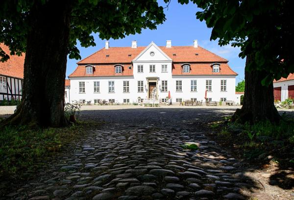 Gelskov Gods - Historic Manor B & B - デンマーク
