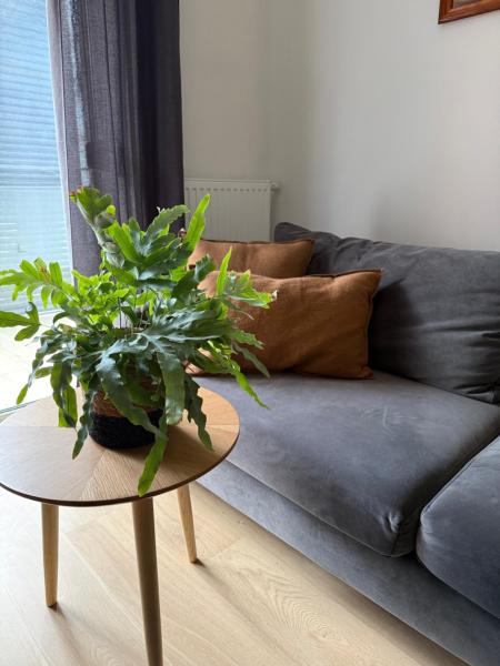 Apartament Centro 63 Z Bezpłatnym Garażem - Torun