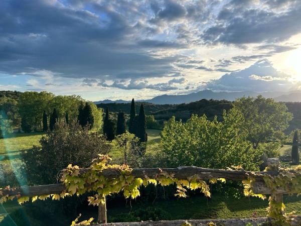 Tenuta Buraggi - Noli