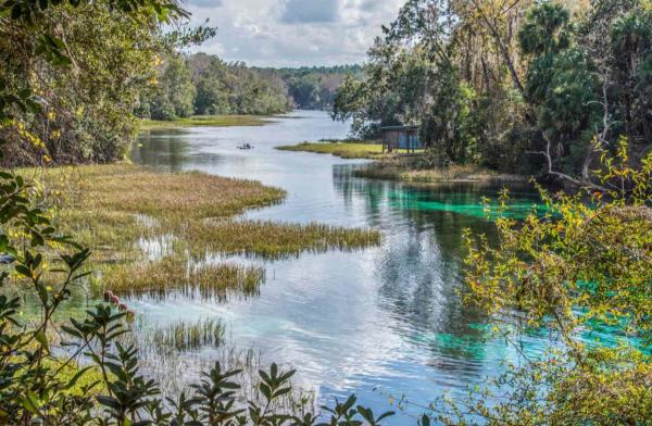 Countryside Oasis In Ocala - Ocala, FL