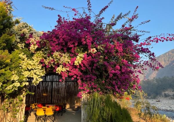 Nayar Valley Retreat - Lansdowne, India