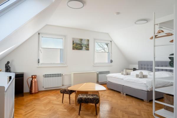 Jacuzzi, Bbq & Ev Plug - 5br Villa Villi With Garden - Maribor