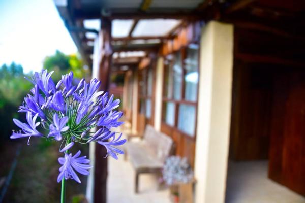Santa Ana City Views Chalet - Costa Rica