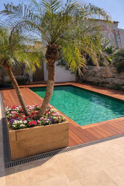 Laurier - Plage de Pramousquier