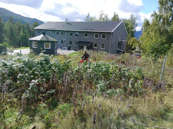 The Sisters Landeskogen - Byglandsfjord