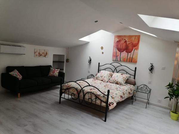 La Pivoine De Montmiral 7 Personnes - Romans-sur-Isère