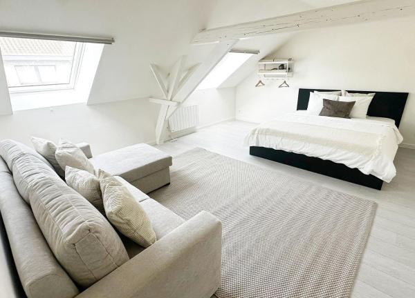 Stylish 2 Apts, 15-min Walk To City Center - Ghent (Belgium)