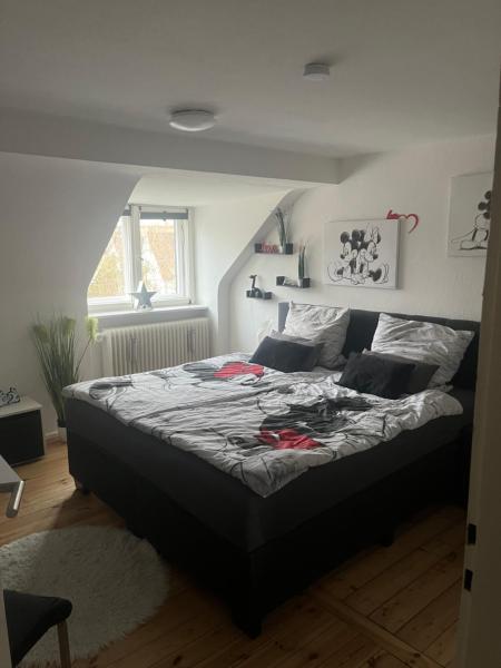 Ruhige Wohlfühloase Unterm Dach - Erlangen