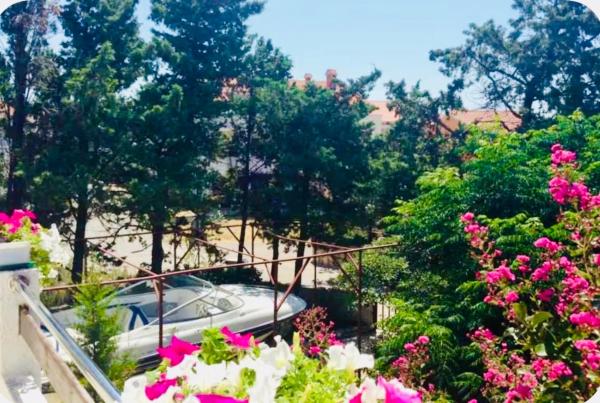 Villa Sila - Novalja