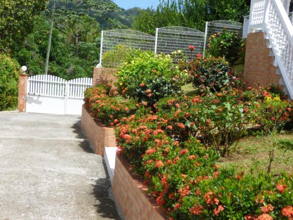 Appartements Allée Des Ixoras - Martinique