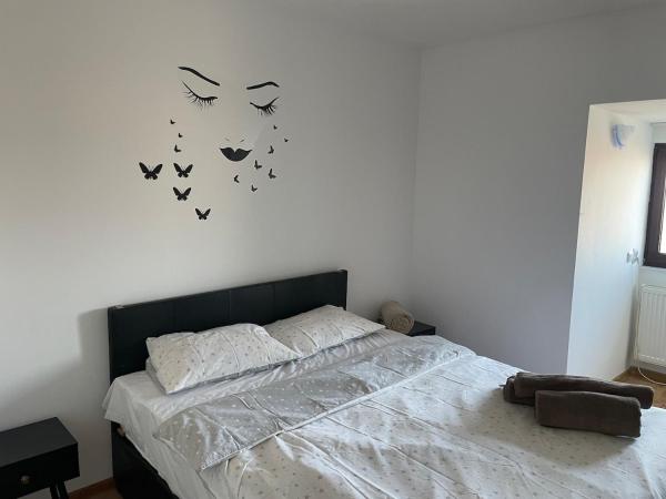 Inchiriez Apartament Central Cu 1 Camere Et 4 - Satu Mare