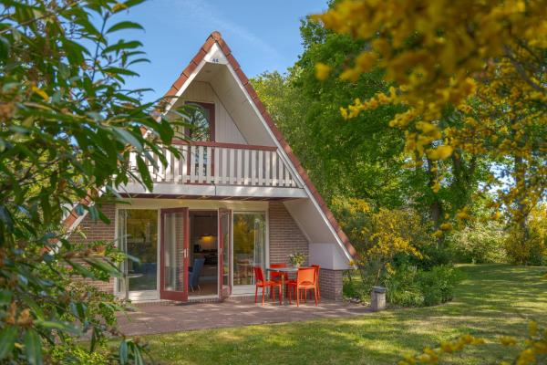 Heggenmus I Huisje Met Haard In De Tuin - Assen