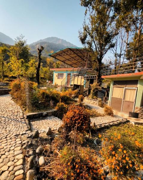 Peace Forest Retreat - Uttarakhand