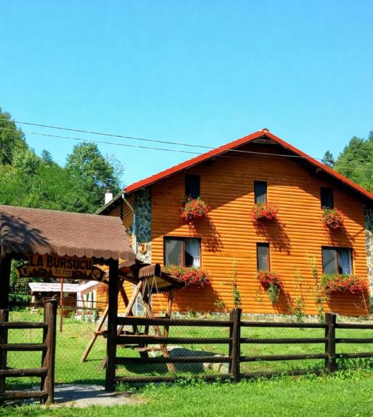 Casa La Bursucu - Zlatna