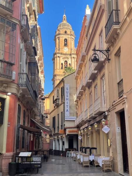 Catedral Larios Centro - Malaga