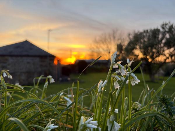 The Barn-family Getaway - Nr Port Isaac - Edmonton, UK