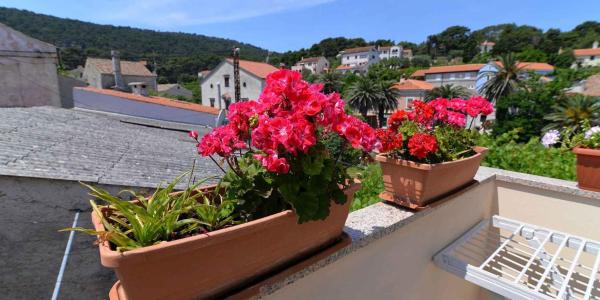 Apartment In Veli Losinj 15050 - Veli Lošinj