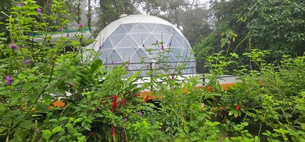 Rio Celeste Jungle Glamping - Costa Rica