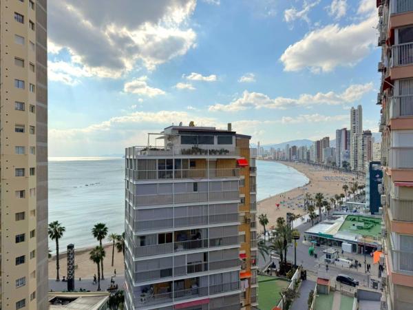 Carabelas T2-8 Studio - Benidorm
