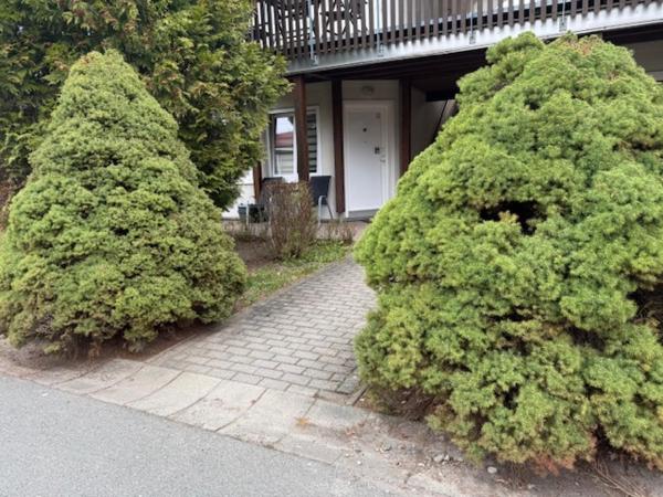 Gottwaldhaus-apartment- Godo - Freiberg