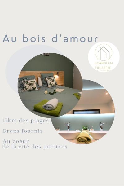 Spacieux Au Cœur De Pont-aven Au Bois D'amour 1-6p Tcc - Pont-Aven