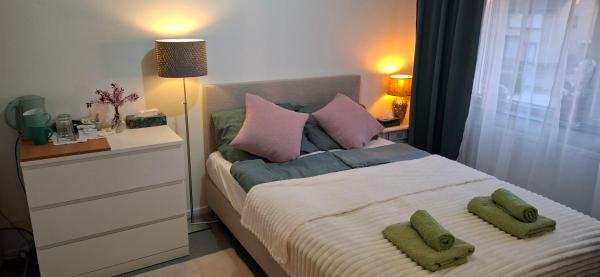 Homestay Maashees - Boxmeer